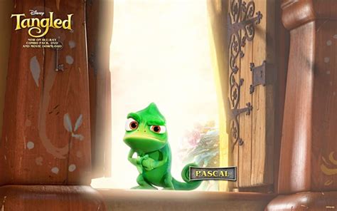 Pascal Tangled 1067x800 Wallpaper Teahub Io