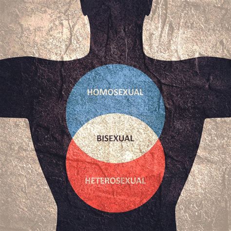 Human Torso And Infographics About Sexual Orientation Stock Illustration Illustration Of