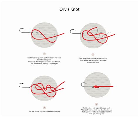How To Tie The Orvis Knot Illustrated Guide