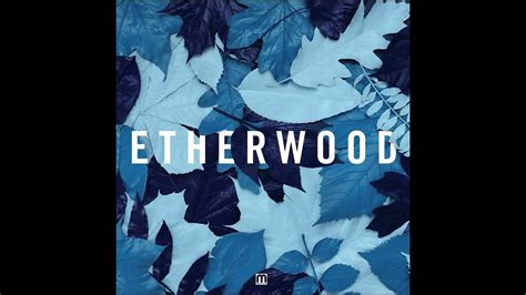 Etherwood Blue Leaves 2015 Drum And Bass Liquid Funk Electronic