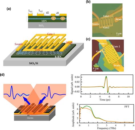 Dgg Gfet Samples For Thz Time Domain Spectroscopic Measurement A Download Scientific Diagram