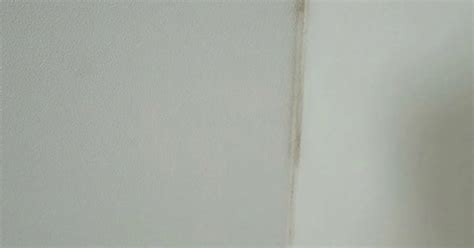 예상보다 곰팡이도 많고 쉬운 작업은 아니셨는데 빠르게 잘 처리해주셨어요 청소에 힘드셨을텐데도 친절하신 실장님께 감사합니다~ 숨고 숨은고수