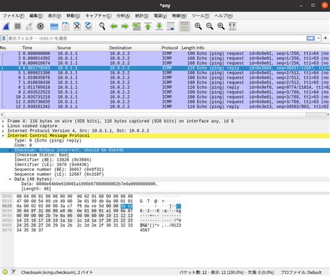 Icmp Checksum Invalid Getting Started With P4 P4 Programming Language