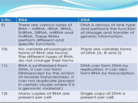 Coding Andnon Coding Dna Molecular Biologypdf