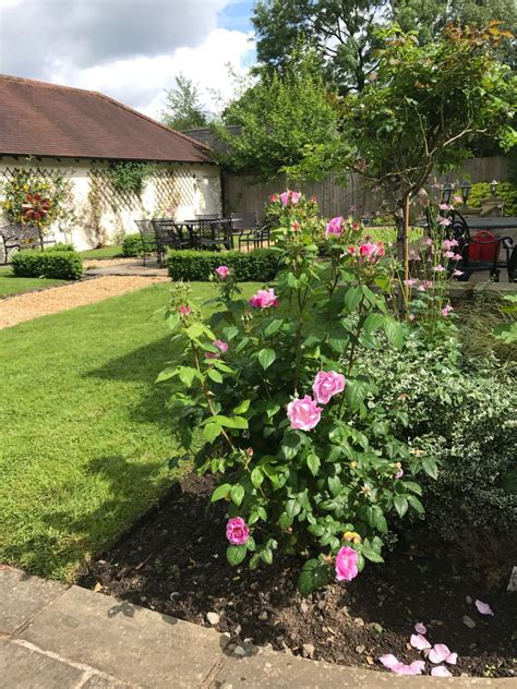 Sonya Shellard On Linkedin Gratitude Alertness Notice Coaching