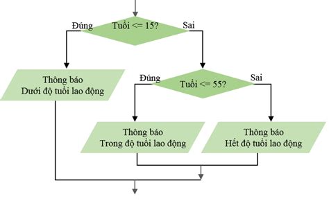 LỜi GiẢi Sử Dụng Cấu Trúc Rẽ Nhánh Mô Tả Việc Phân Nhóm Tuổi Lao Tự