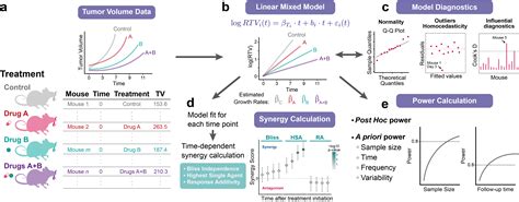 February 2025 Top 40 New Cran Packages R Bloggers