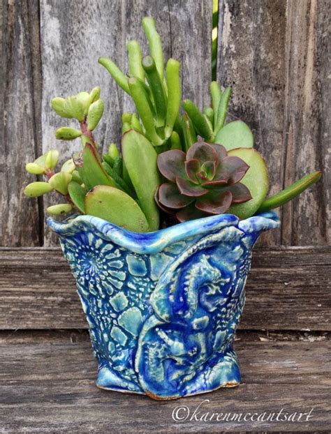 Pin By Accent You On Cacti And Succulents Ceramic Succulent Pots
