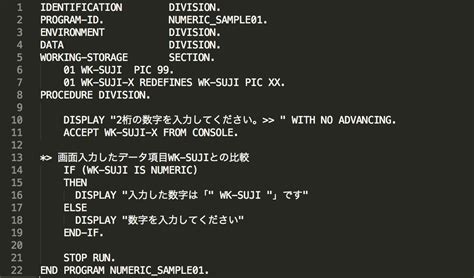 Cobol言語の「numeric」の使い方について理解しよう！｜基礎ガイド ｜ Cobol入門サイト