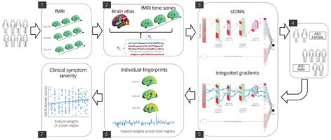 Deep Learning Identifies Robust Gender Differences In Functional Brain Organization And Their