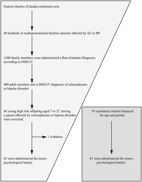 Flowchart Of Participants In A Stepwise Sampling Approach To