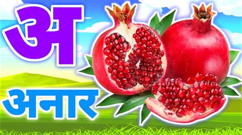 अ से अनारआ से आमहिंदी वर्णमालाअआइईउऊक से कबूतर A Se Anar Aa Se