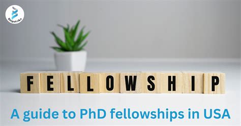 A Guide To Phd Fellowships In Usa The Phd Code