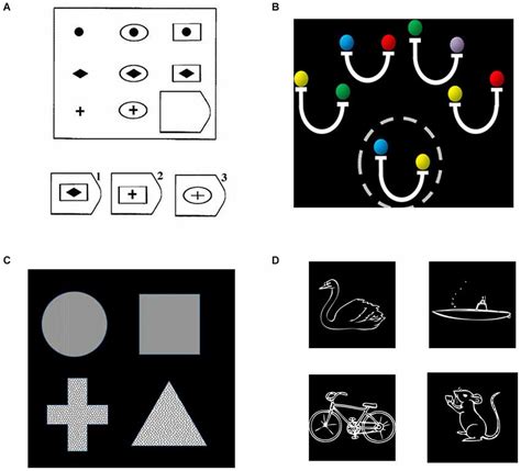 Relational Reasoning Tasks Including A Matrix Reasoning B Download Scientific Diagram