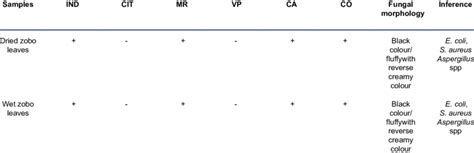 Biochemical Characterization Of Bacteria And Morphological