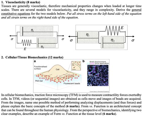 Solved 1 Viscoelasticity 8 Marks Tissues Are Generally