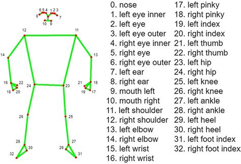 【姿态估计实战】使用opencv和mediapipe构建锻炼跟踪器【附完整源码与详细说明】 Csdn博客