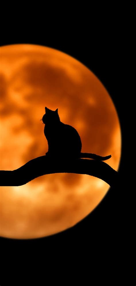 Ανακαλύψτε τις 400 ΠΑΙΔΙΚΕΣ ΖΩΓΡΑΦΙΕΣ και ιδέες για ζωγραφιές το 2025 ζωγραφική κατασκευές