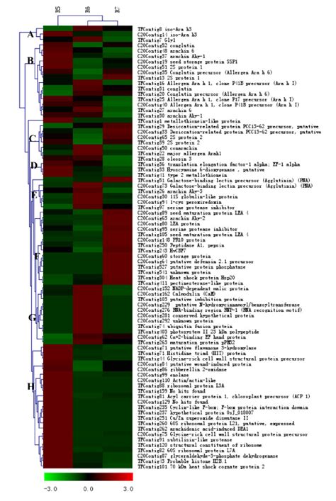 Hierarchical Clustering Analysis Of Differentially Expressed Download Scientific Diagram