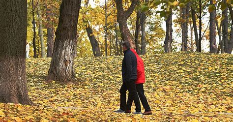 Соцвиплати в Україні хто може отримати одночасно 10 пенсій