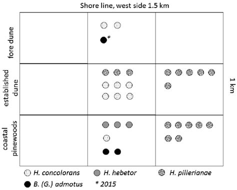 Sampling Grid With Distribution Of Specimens Collected Download