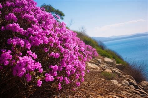 언덕에 보라색 꽃 간식 단팥빵 빵 배경 일러스트 및 사진 무료 다운로드 Pngtree