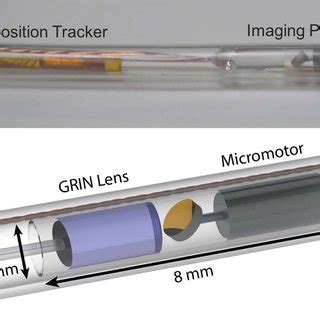 OCT System Schematic Download Scientific Diagram