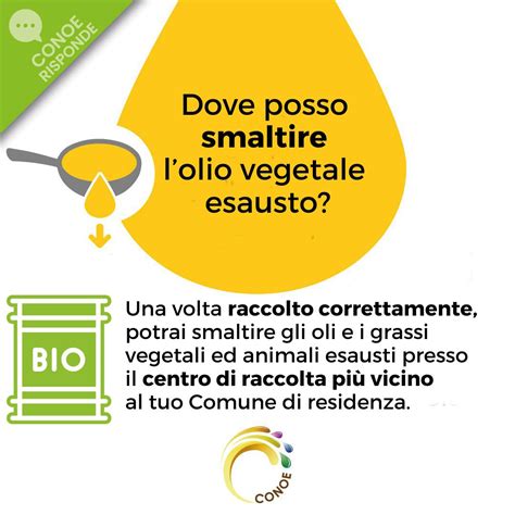 Conoerisponde Economiacircolare Sostenibilità Conoe Consorzio Nazionale Oli Vegetali Esausti