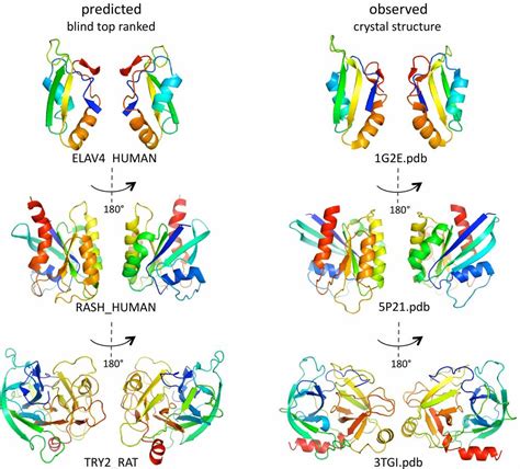 Bioinformatics For Protein Creative Proteomics