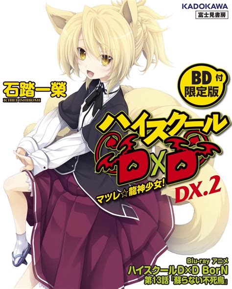 Highschool Dxd Ss Y Dx El Coleccionista De Novelas
