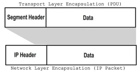Unlock Network Layer Secrets Functions And Trends 2025