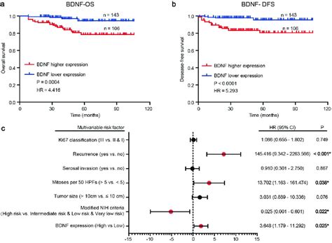 Prognostic Value Of Bdnf In Gist Patients A Kaplan Meier Curve Of