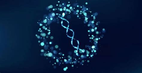 Formalin Fixed Paraffin Embedded Ffpe Tissue Biopsy Material In Cancer Treatment • Biomedica Cro