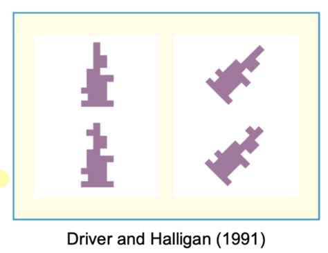 Selective Attention 5 Flashcards Quizlet