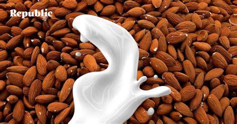 Коровье молоко экологическая катастрофа Миндальное убивает пчел