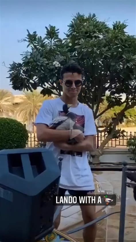 Pin af Fedesca på F1