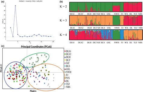 A B Bayesian Inference Using Structure Of Cycas Taiwaniana C Download Scientific Diagram