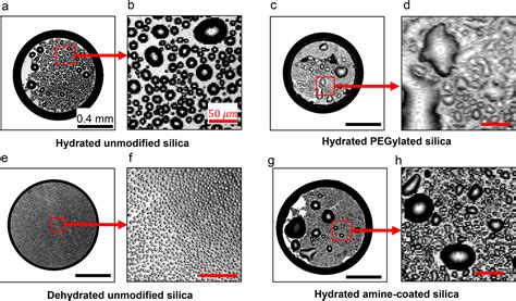 Surface Properties Of Colloidal Particles Affect Colloidal Self Assembly In Evaporating Self