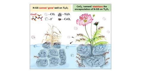 Durable Ti4o7 Heterojunction Composite Membrane Encapsulating N Doped Graphene Nanosheets For