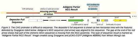 Plasmids 101 In House Ngs Plasmid Quality Control Now At Addgene