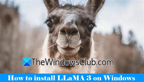 How To Install Llama 3 Locally On Windows 11 Pc