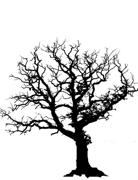 Oak Tree Silhouette Free Clip Art Library