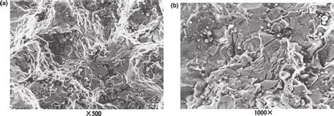 Scanning Electron Fracture Micrographs With Tensile Tested Specimens