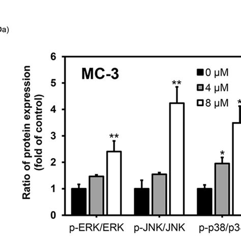 Effects Of Pl On The Expression Of The Mapk Pathway Related Proteins In
