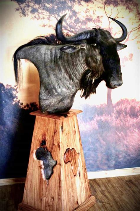 Blue Wildebeest Welcome To Colletts Wildlife Artistry Website