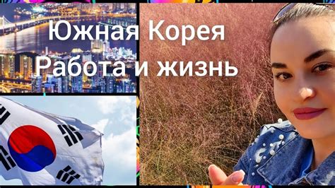 Работа и жизнь в Южной Корее Korea VlogПереезд в корею Youtube
