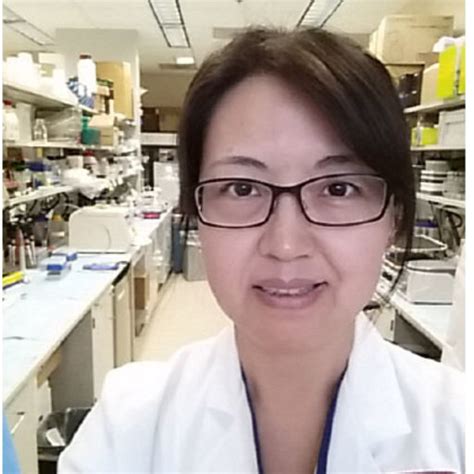 Xuemei Chen Professor Full Ph D Southern Medical University Guangzhou Fimmu