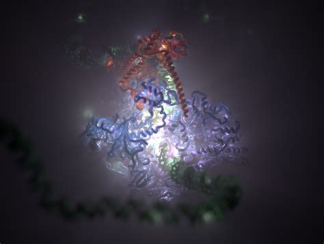 Scientists Have Unveiled Incredible Images Of How The DNA Code Is Read And Interpreted