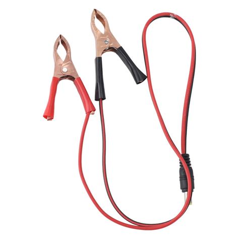 Automatic Incubator Thermostat Eu Plug 220v High Accuracy Sensor 0 99 Degrees Celsius Display