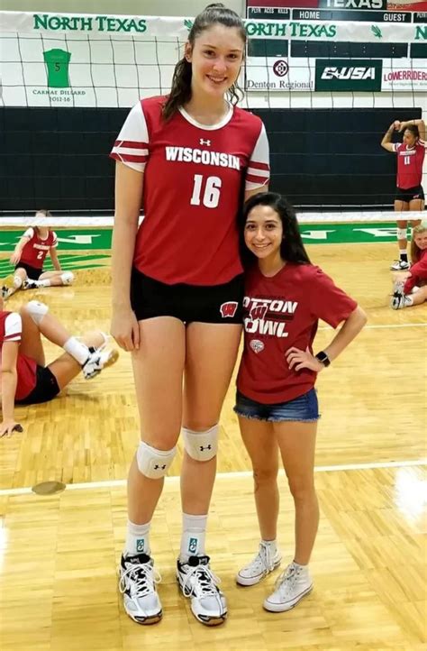 An In Depth Look At The Wisconsin Badgers Womens Volleyball Teams